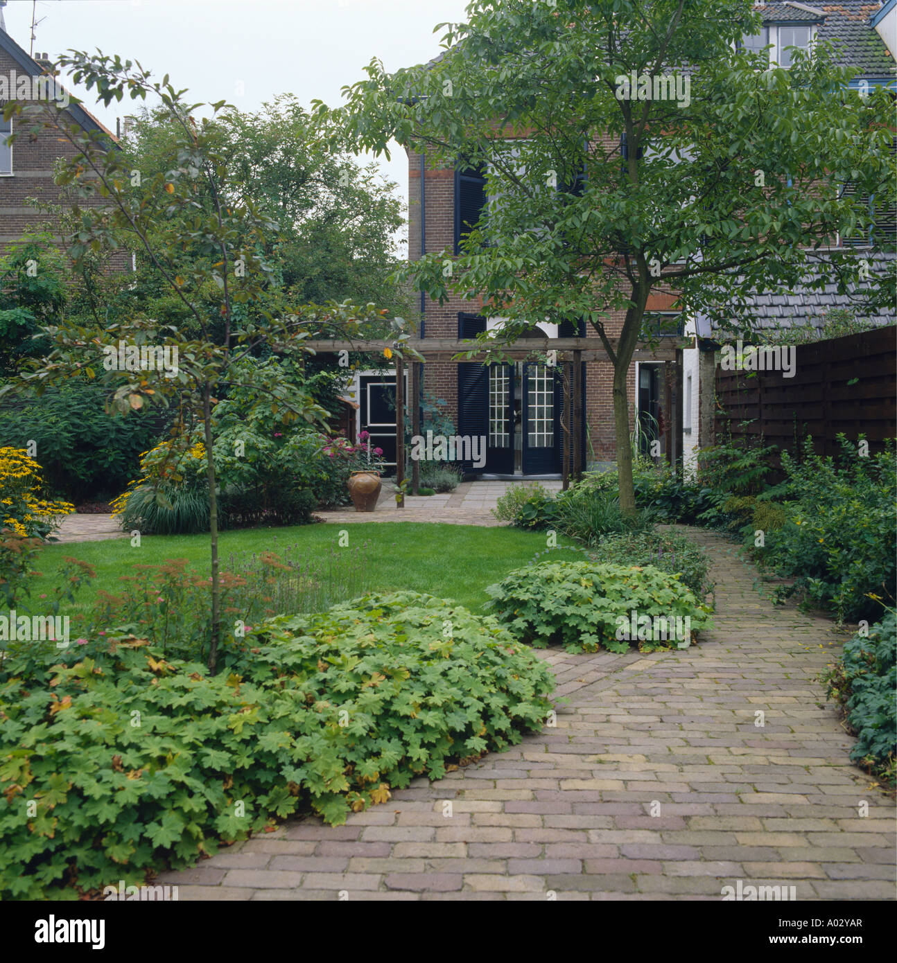 Paved path beside green borders with small trees beside lawn in garden ...