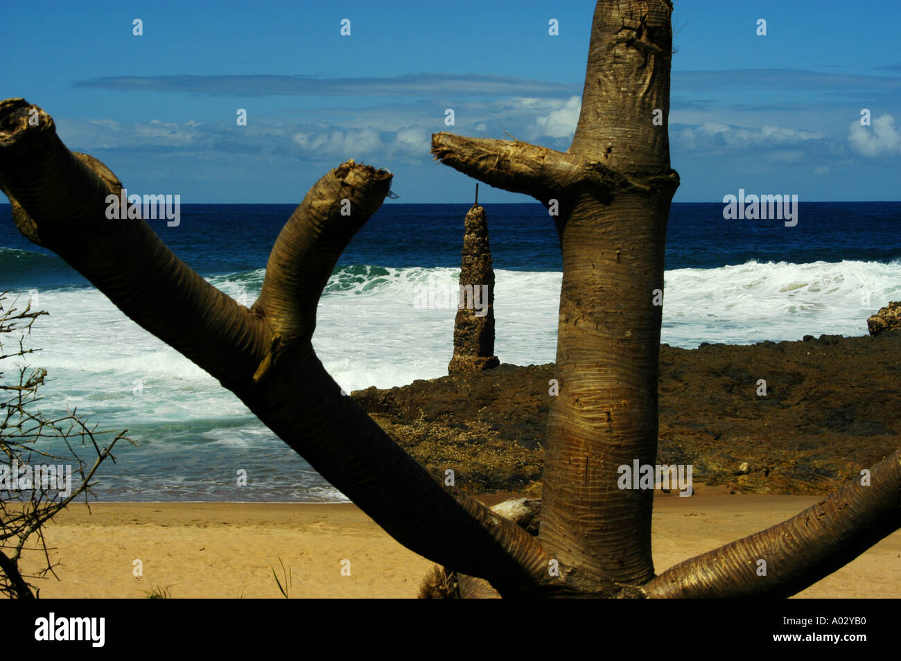 Salt rock beach natal hi-res stock photography and images - Alamy