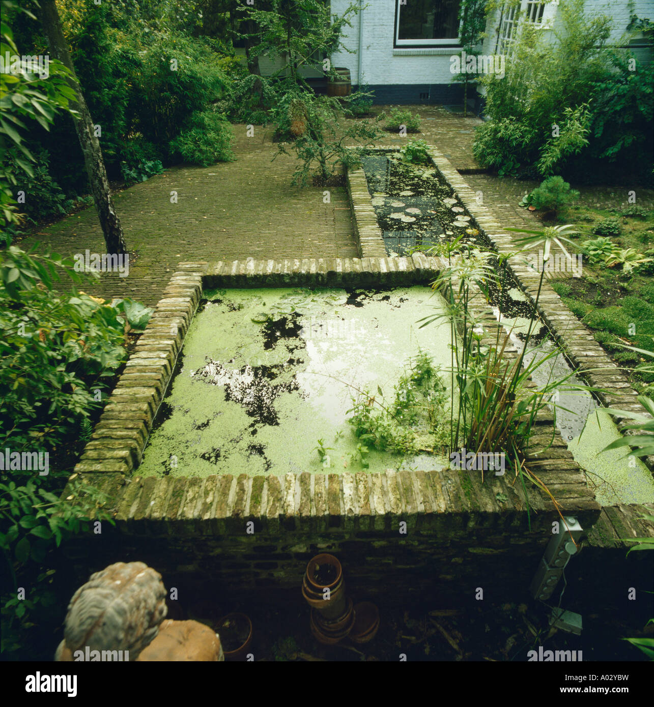 Aerial view of raised square pond with algae in town garden Stock Photo ...