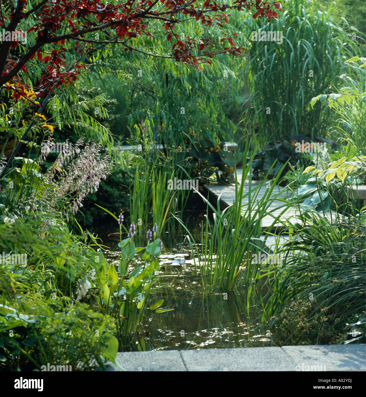 Lush planting around formal square garden pond Stock Photo - Alamy