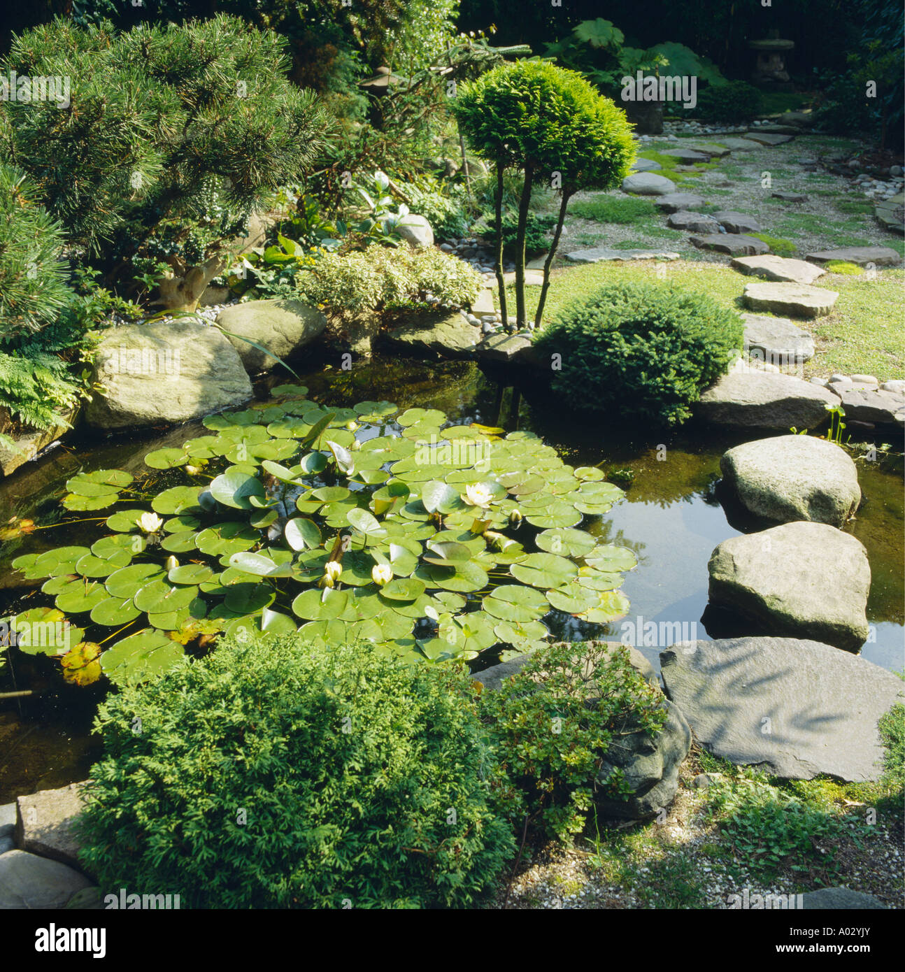 Stepping stones across garden pond hi-res stock photography and images ...