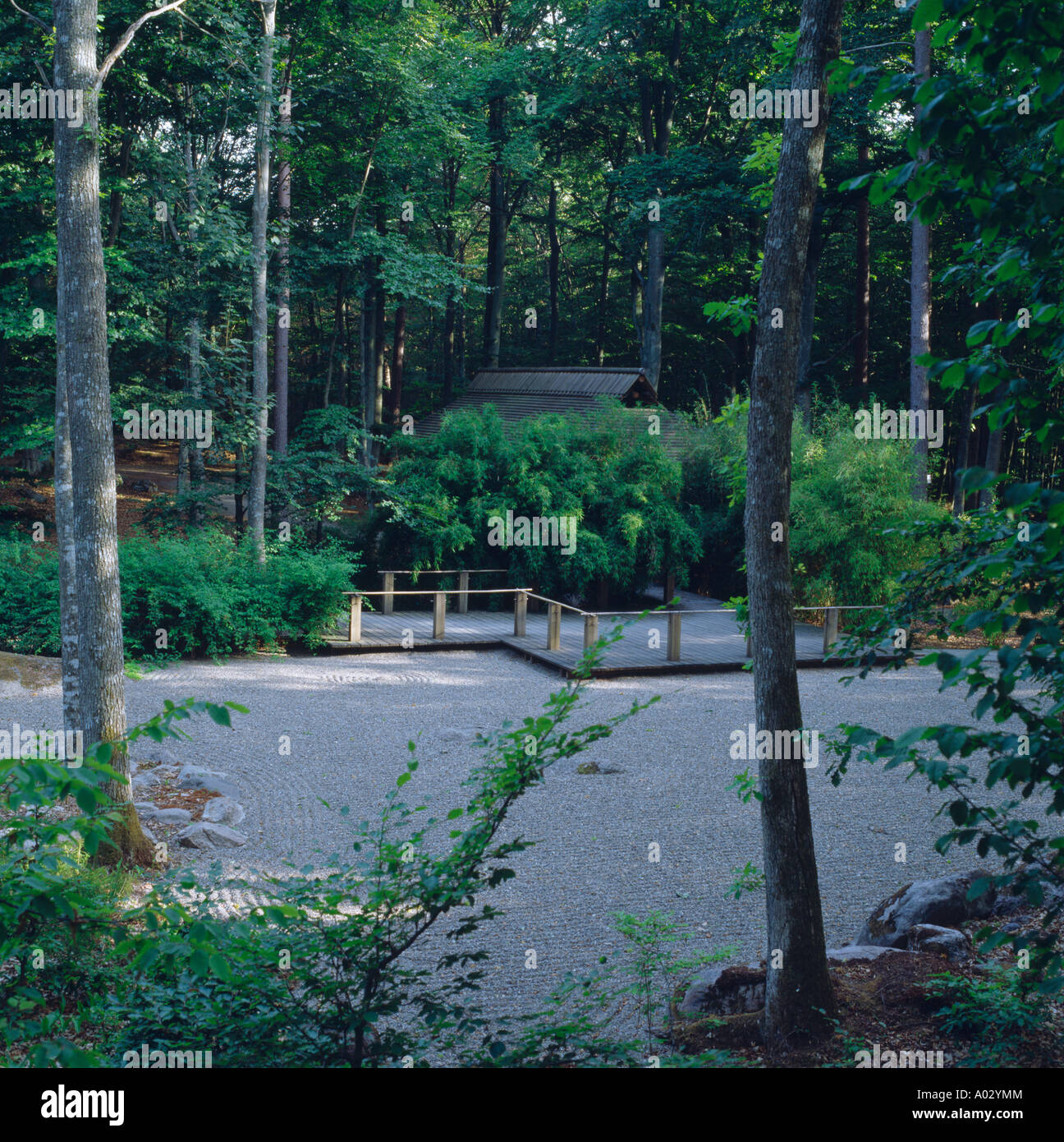 Woodland garden with paths and groundcover of raked gravel Stock Photo ...