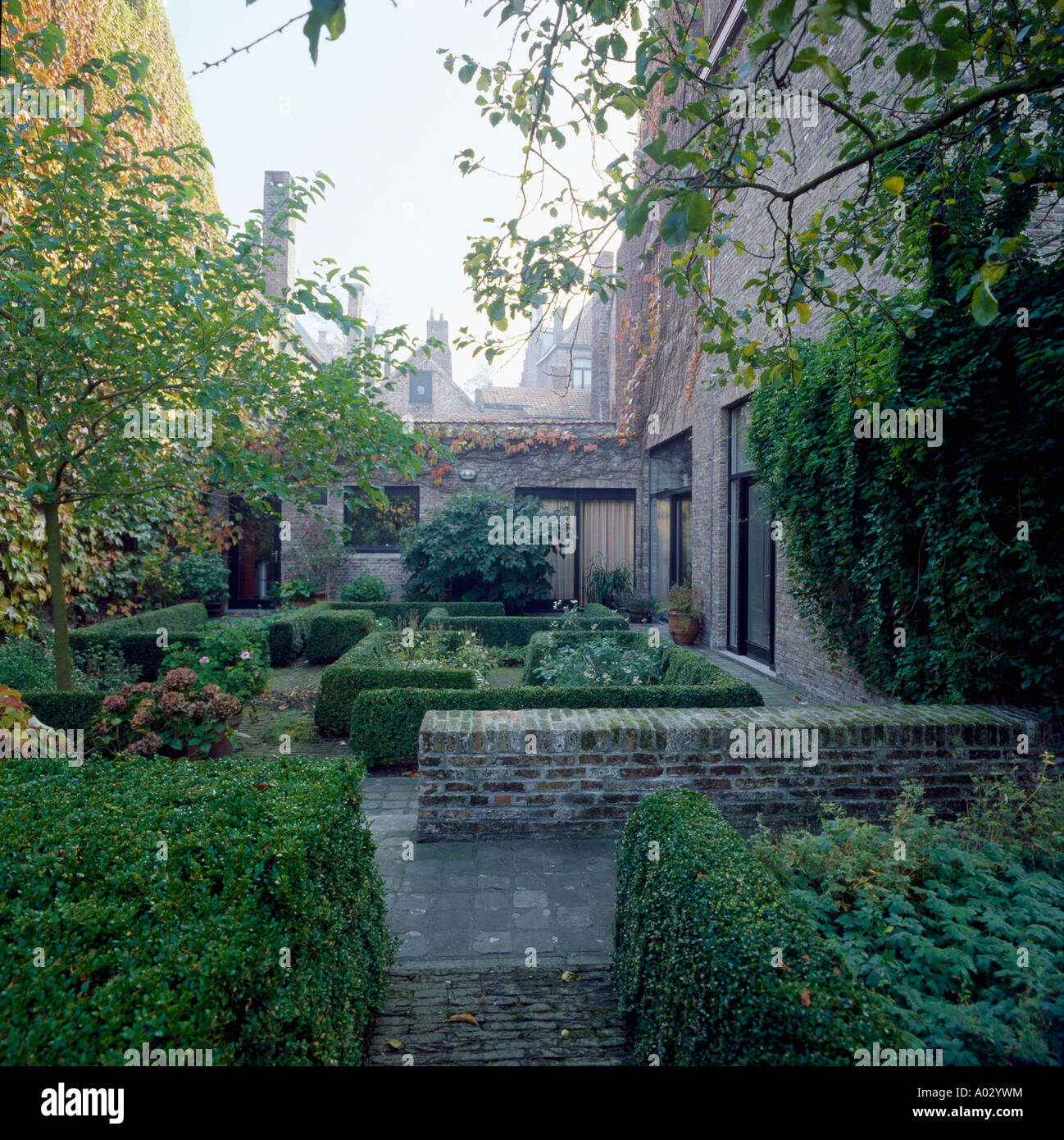Formal Dutch town garden with clipped hedges and low walls Stock Photo ...