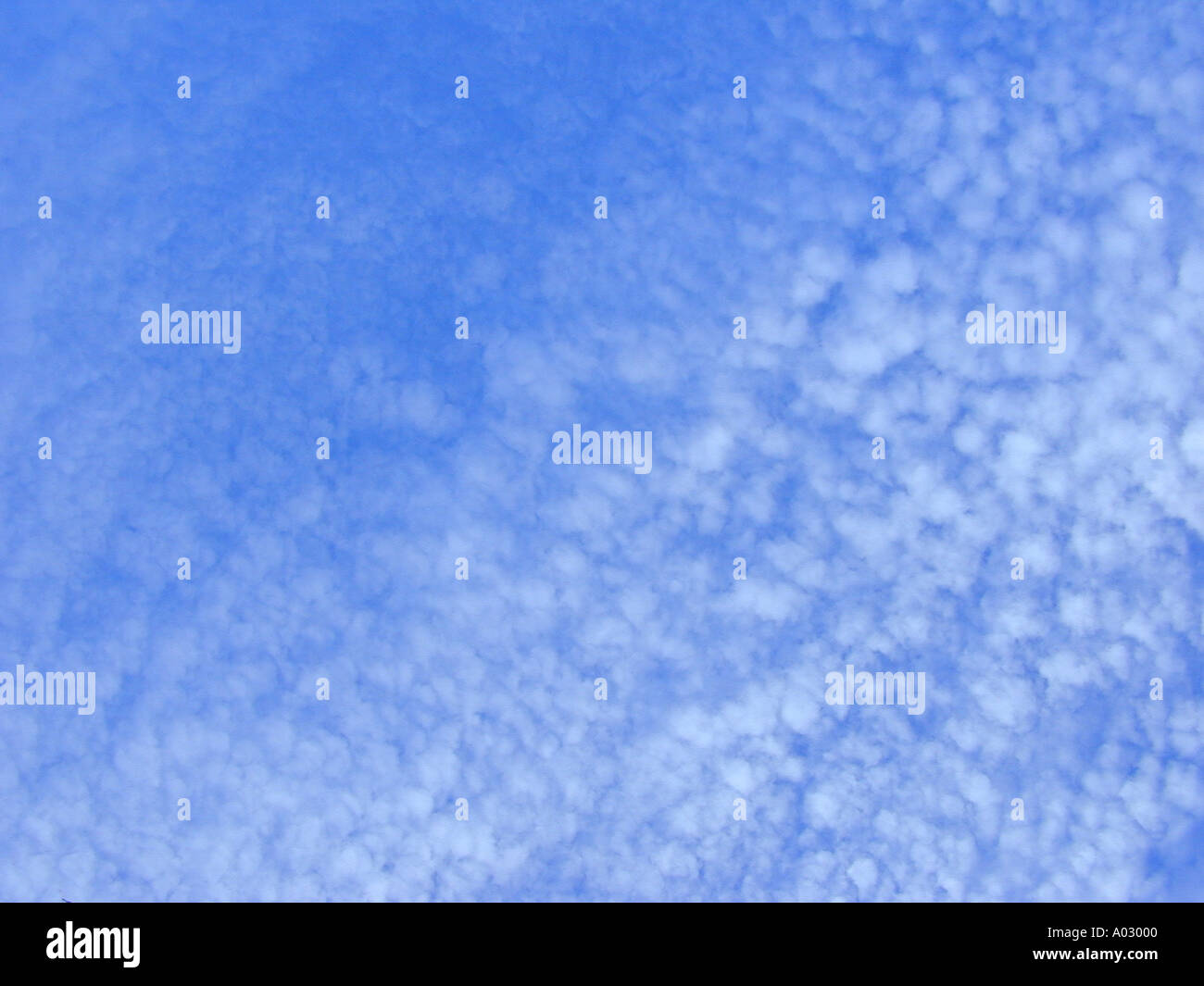 Clouds and blue sky Digital photo by Doug Wilson Stock Photo - Alamy