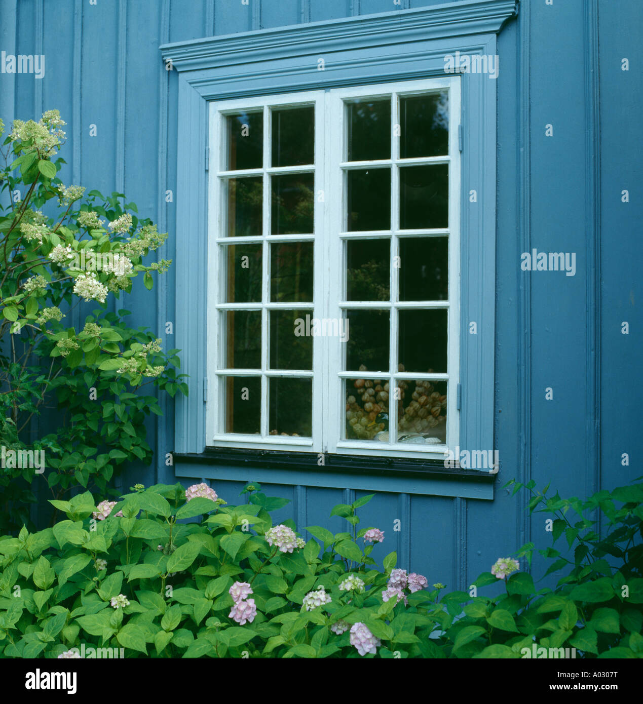 Window in blue painted wooden Swedish house Stock Photo - Alamy