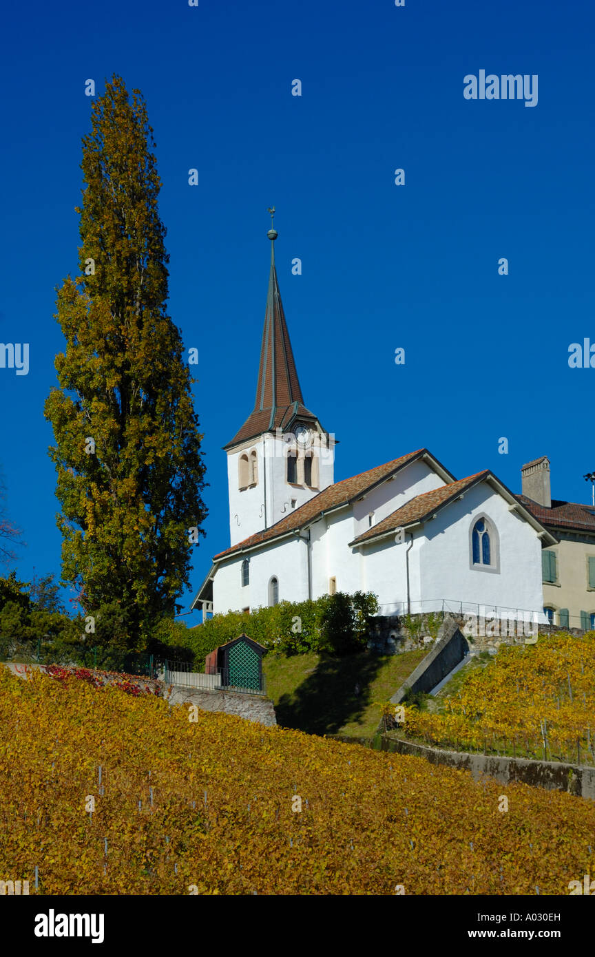Church in the vineyards Stock Photo - Alamy