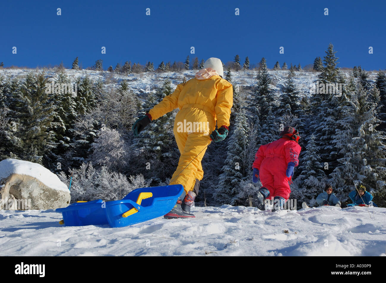 Life sled hi-res stock photography and images - Alamy