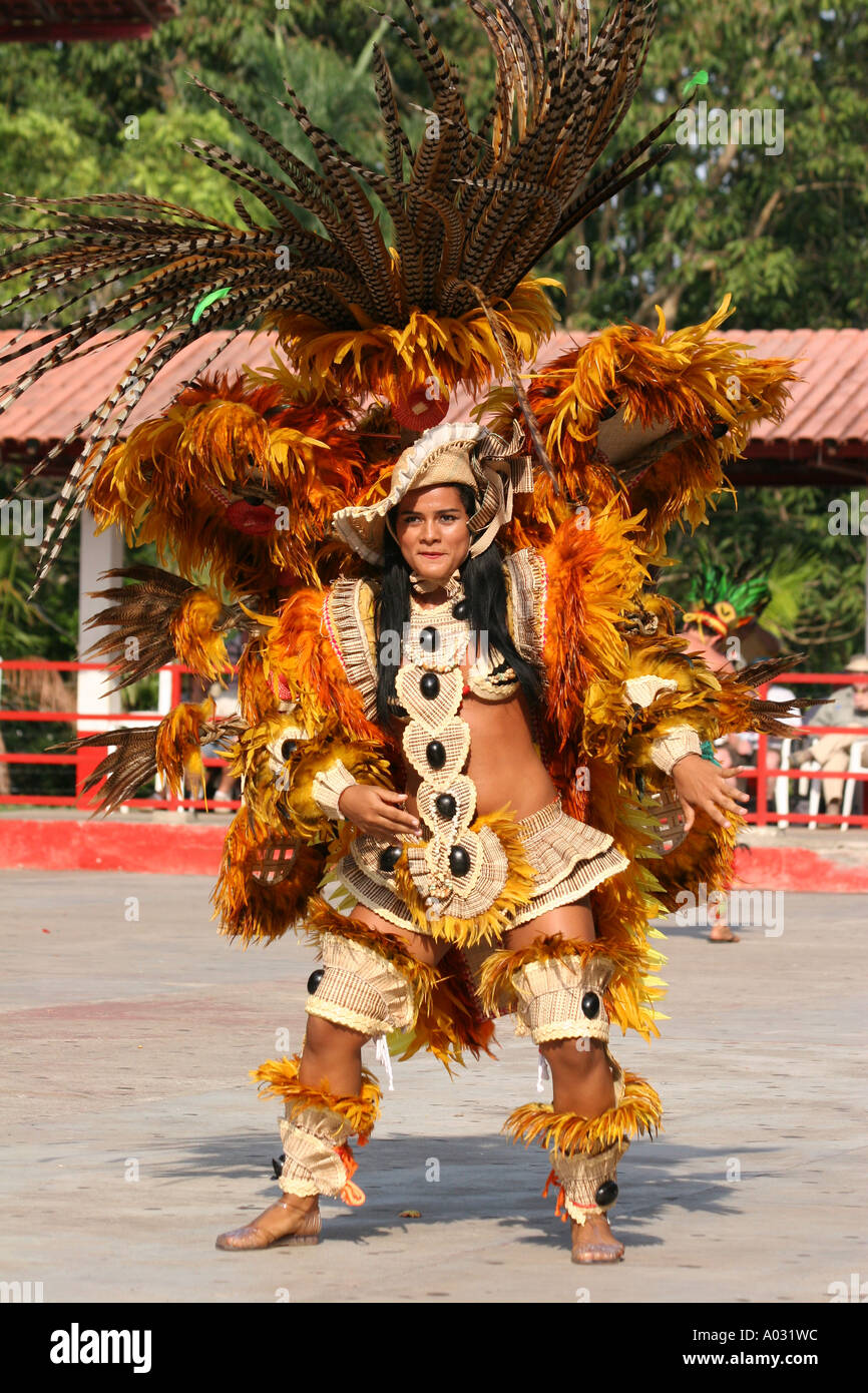 Brazil dancer dance at the boi bumba parintins show carnival, South ...