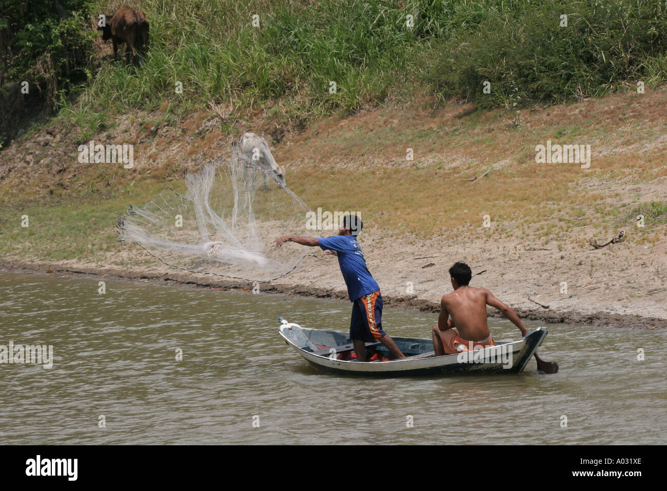 Brazil fishing pirahna, River Amazon, Brazil, South America Stock Photo ...