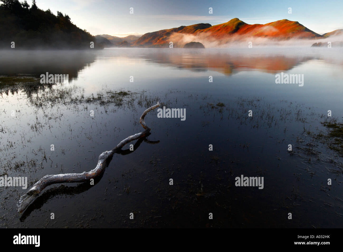 Frozen Log And Mist On Derwentwater With View Of Catbells Lake District ...