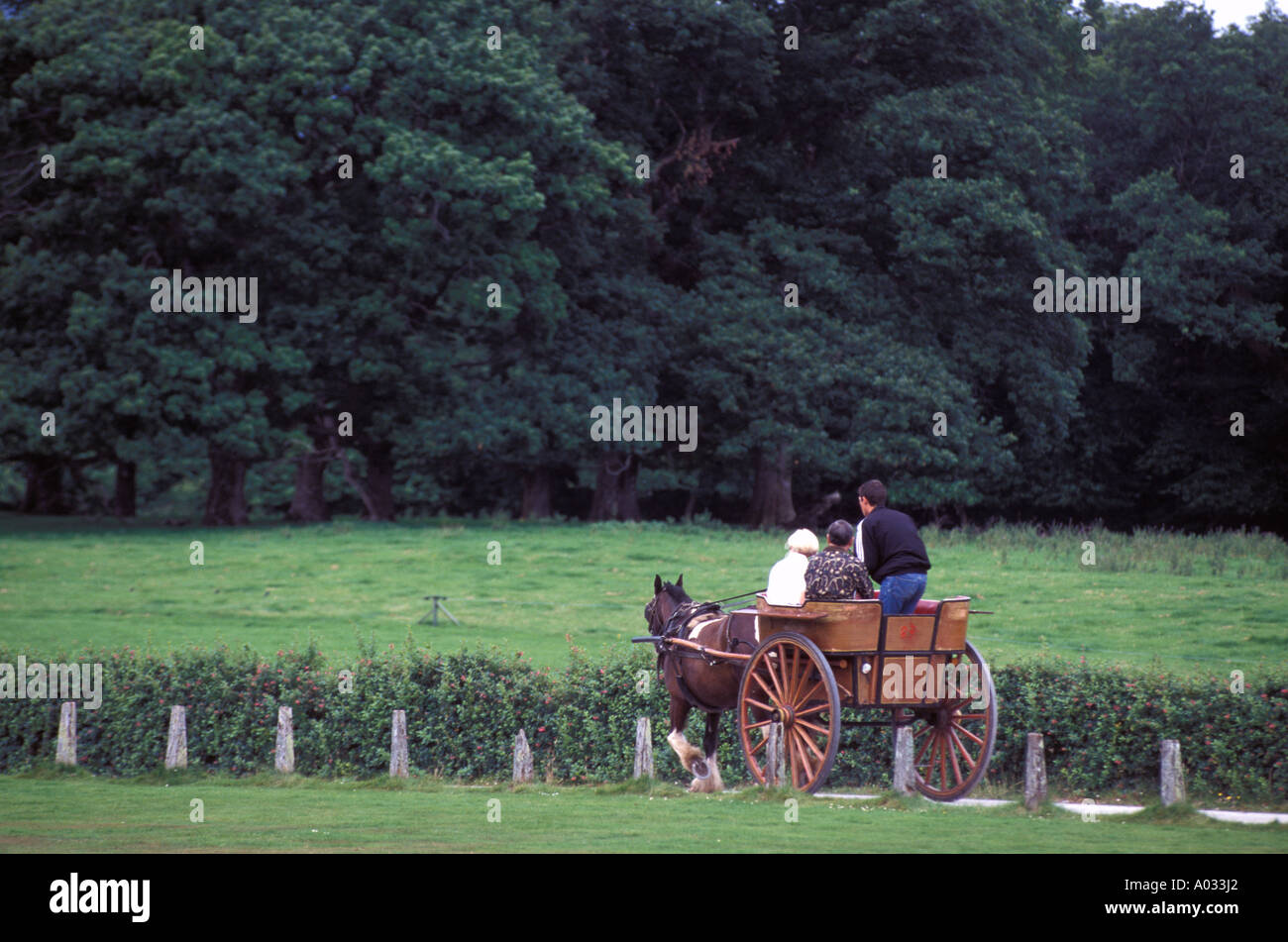 Ireland jaunting car killarney national park traditional transportation ...