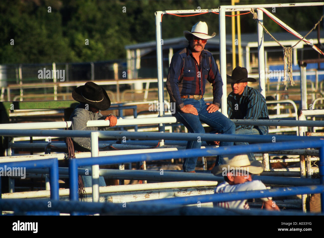 Cowboys sitting on fence hi-res stock photography and images - Alamy
