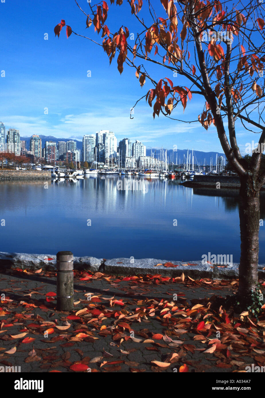 fall colours Vancouver Stock Photo - Alamy