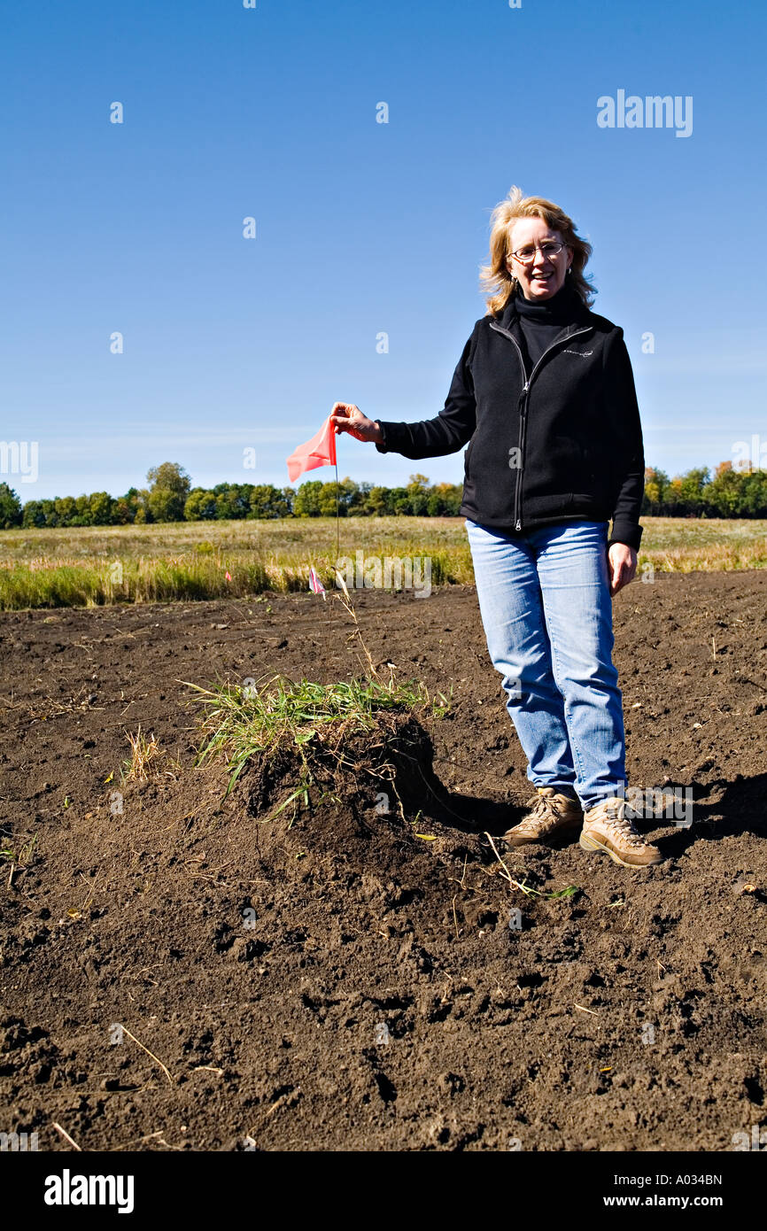 ILLINOIS Grayslake Wetlands restoration project administered by Liberty ...