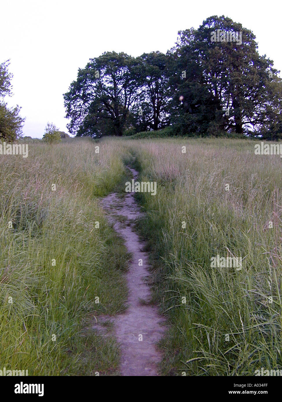 Pathway through a nature preserve Digital photo by Doug Wilson Stock ...