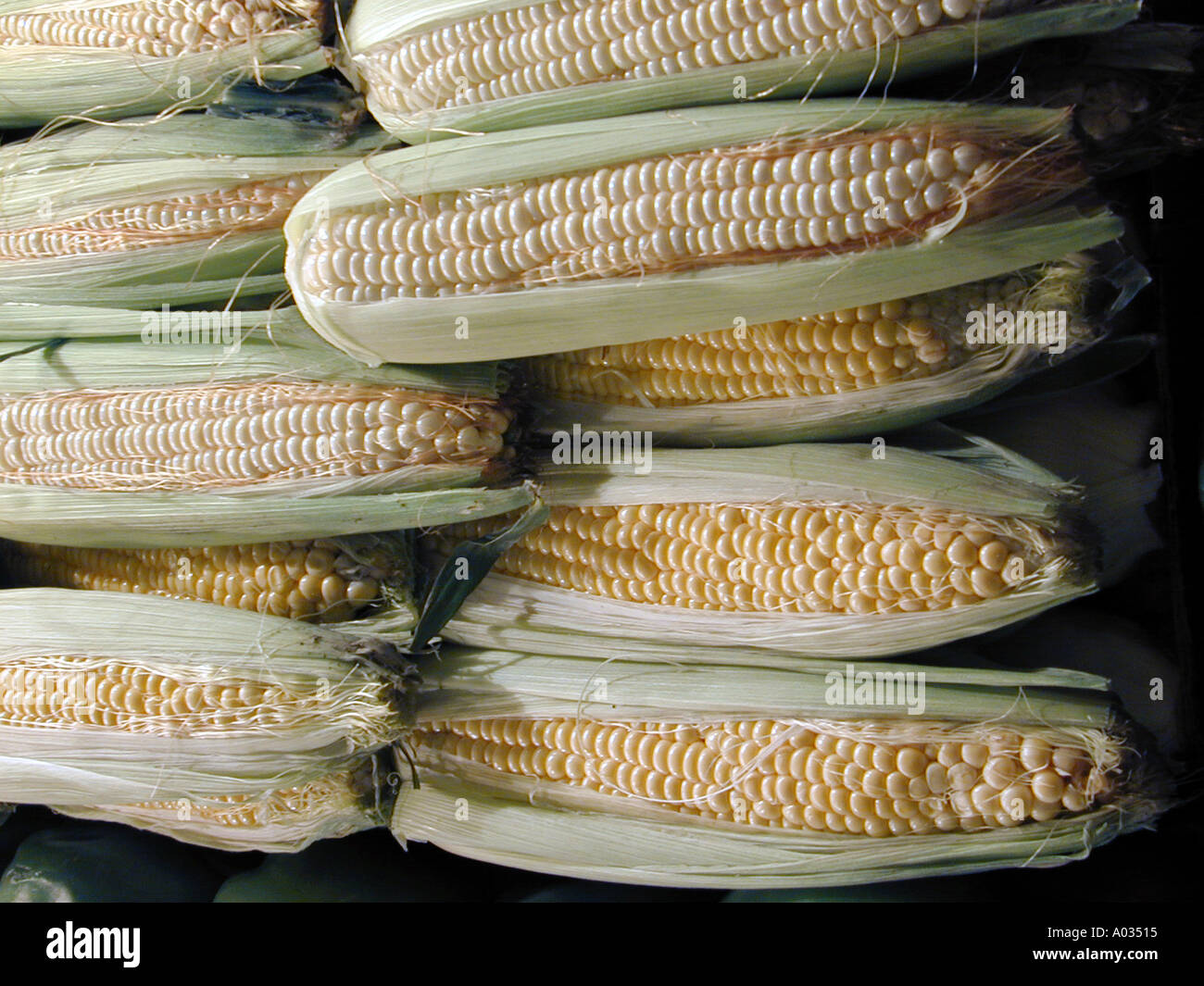 Fresh yellow corn at a produce stand Pike Place Market Seattle WA Stock ...