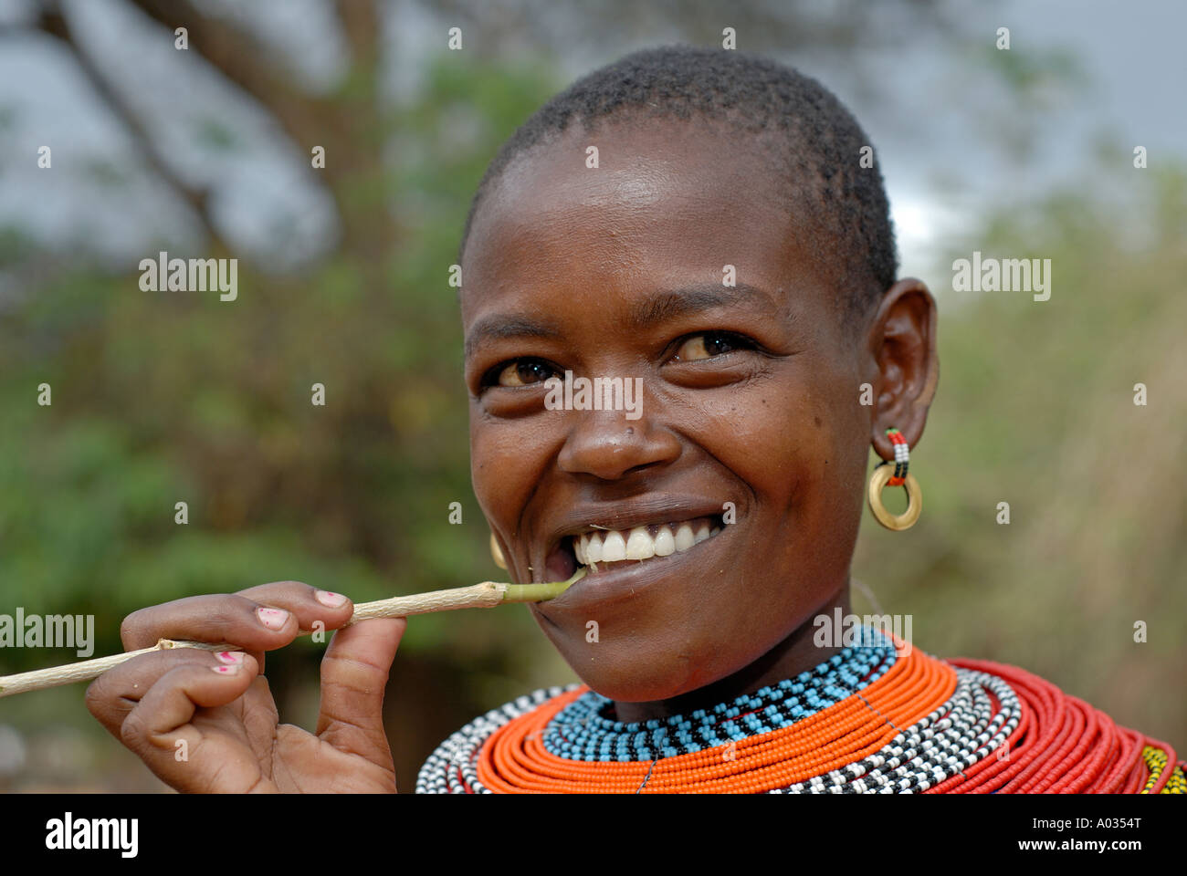 Teeth brushing history hi-res stock photography and images - Alamy