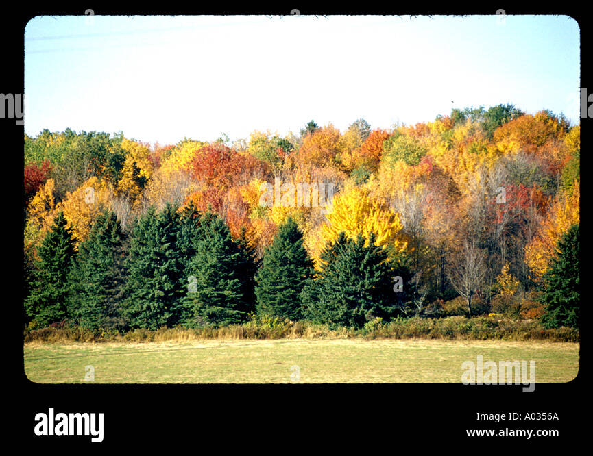 New England fall colors Stock Photo - Alamy