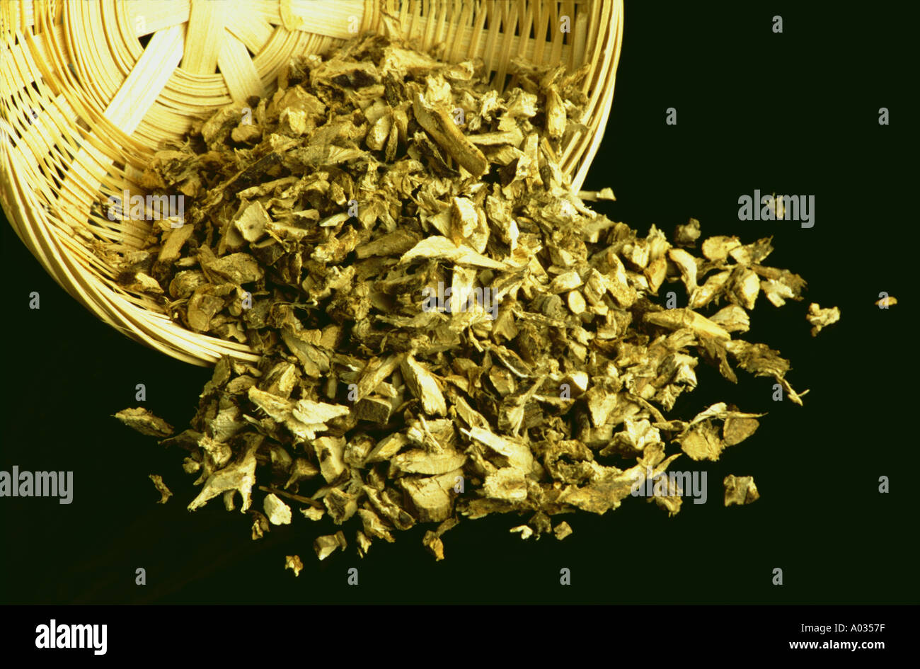 Spiny restharrow Ononis spinosa dry medicinal plant Stock Photo - Alamy