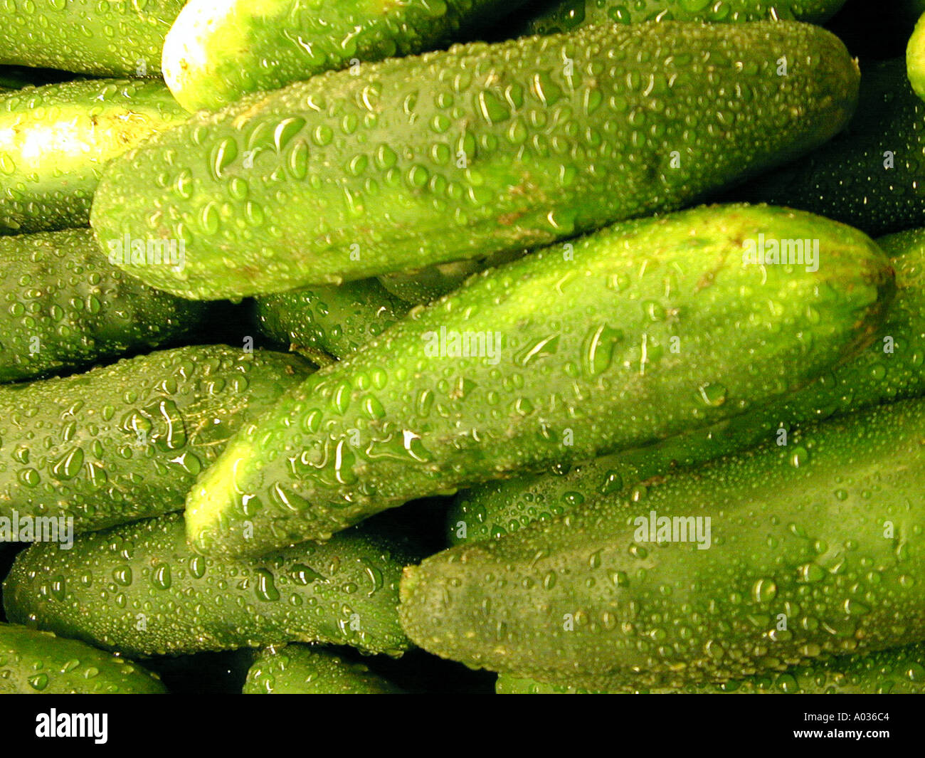 Cucumbers in a produce display at a market Stock Photo - Alamy