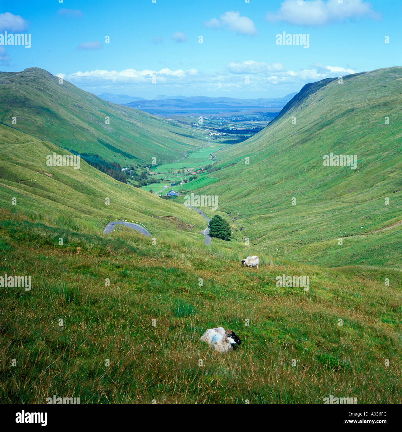 view across the valley from Glengesh Pass in County Donegal in the ...