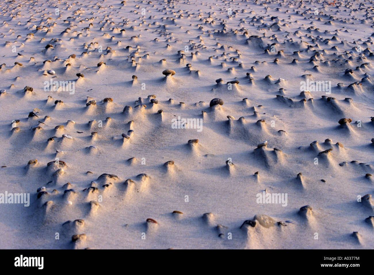 pebbles at a beach a strong wind has been blowing along Stock Photo - Alamy