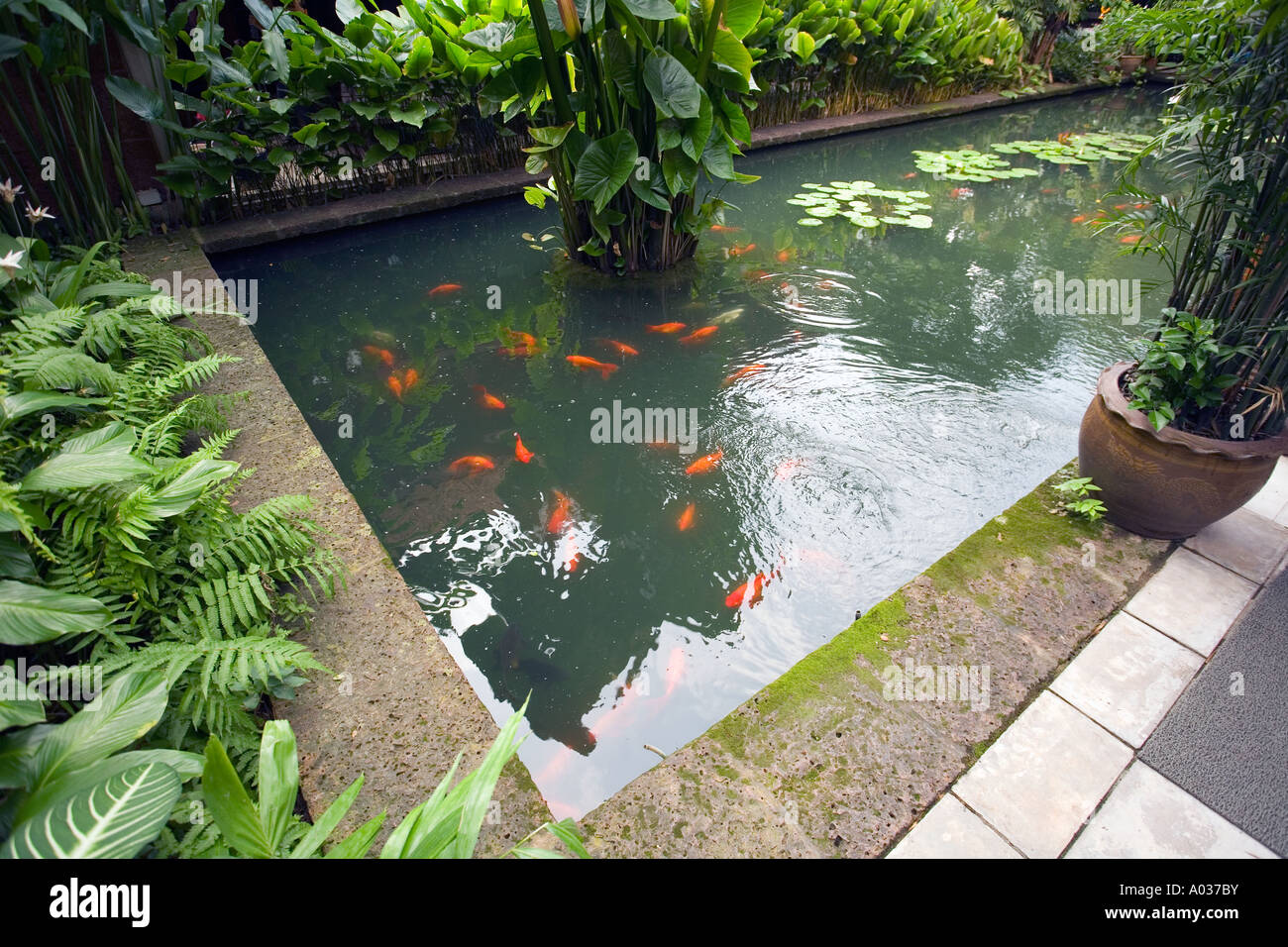 Thompson fish house hi-res stock photography and images - Alamy