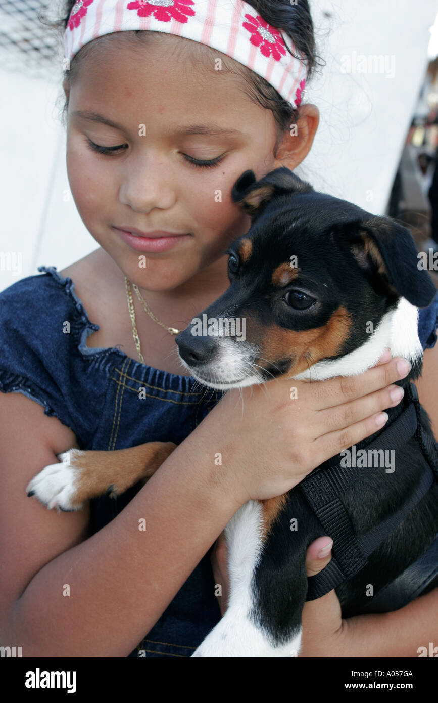 Miami Beach Florida,South Pointe Park,Point,Pet Rescue,dog dogs owner ...