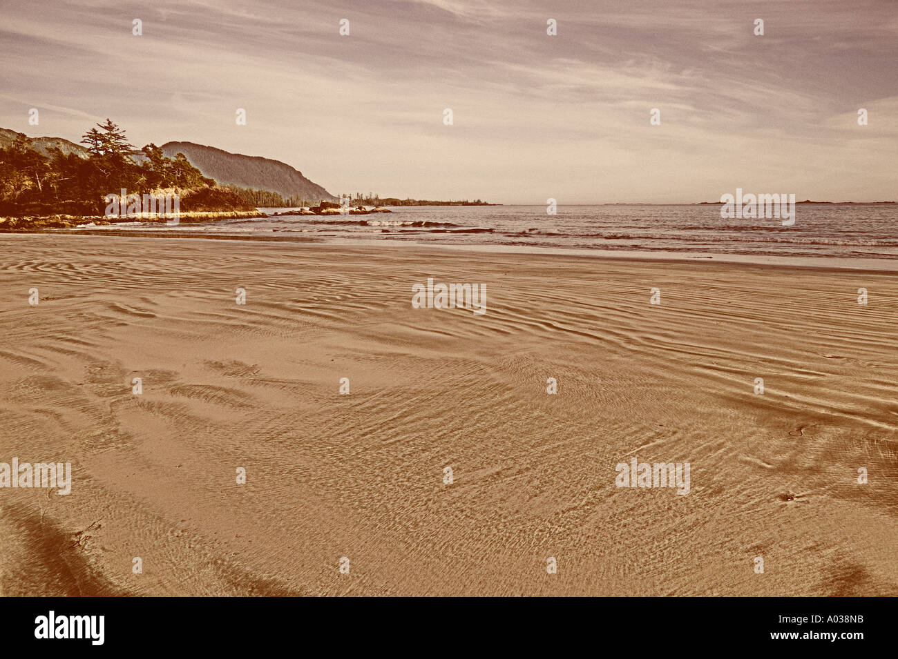 Rugged Point West Coast Vancouver Island British Columbia Canada Stock ...