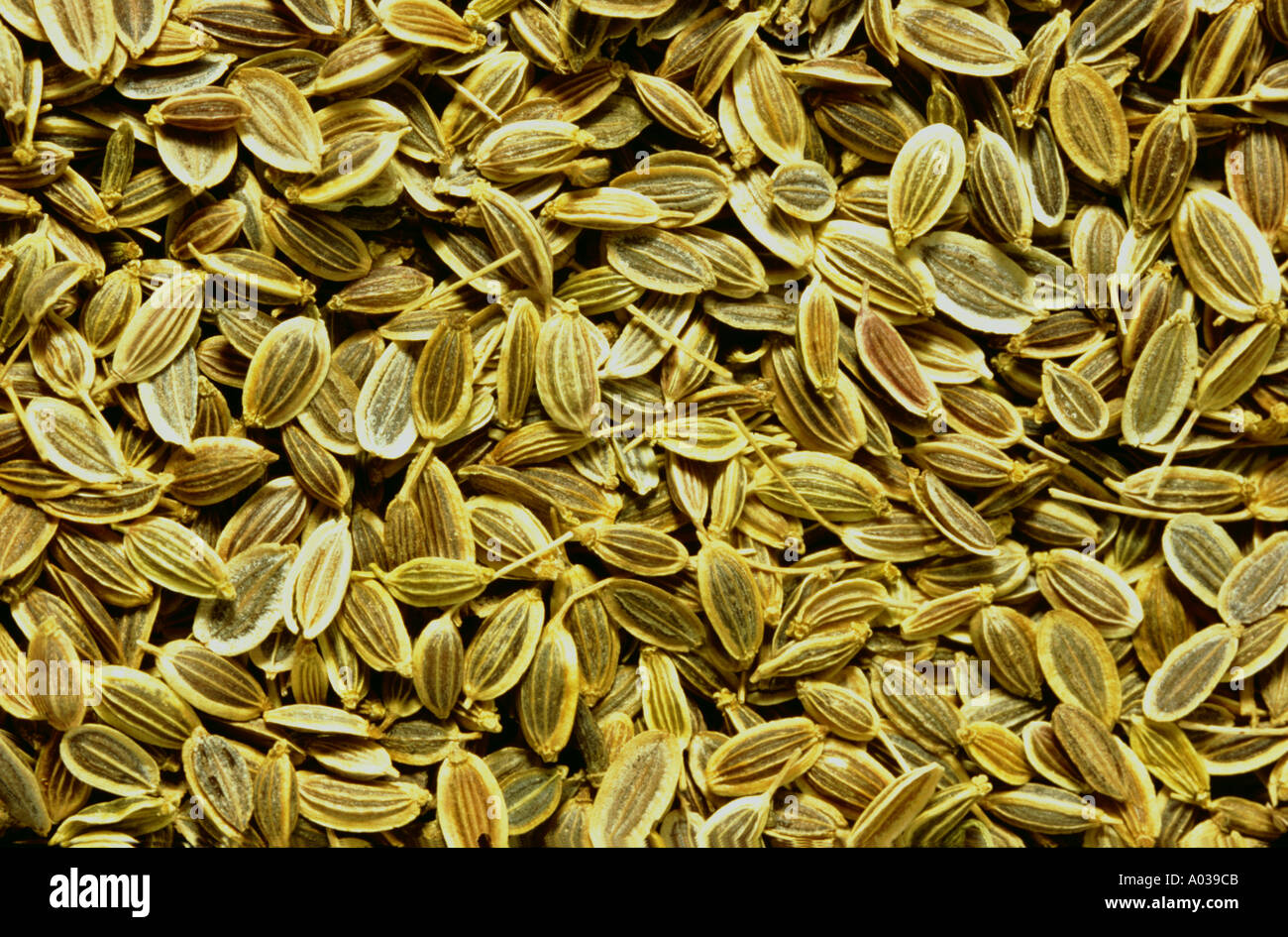 Medicinal seeds hi-res stock photography and images - Alamy