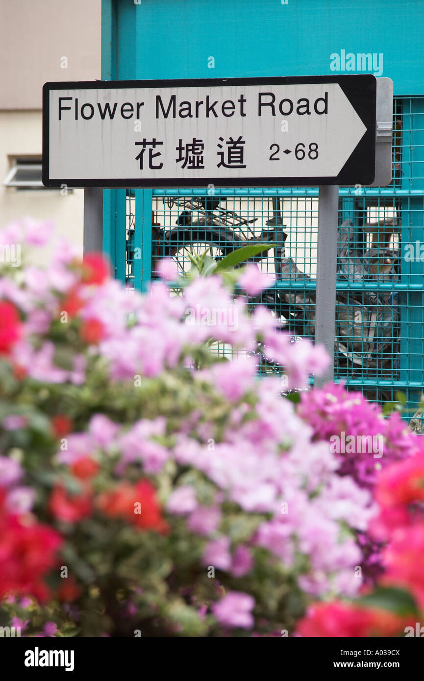 Kowloon flower market road hi-res stock photography and images - Alamy