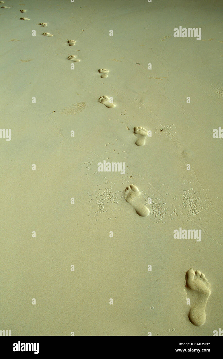 footprints in the sand at a beach Stock Photo - Alamy