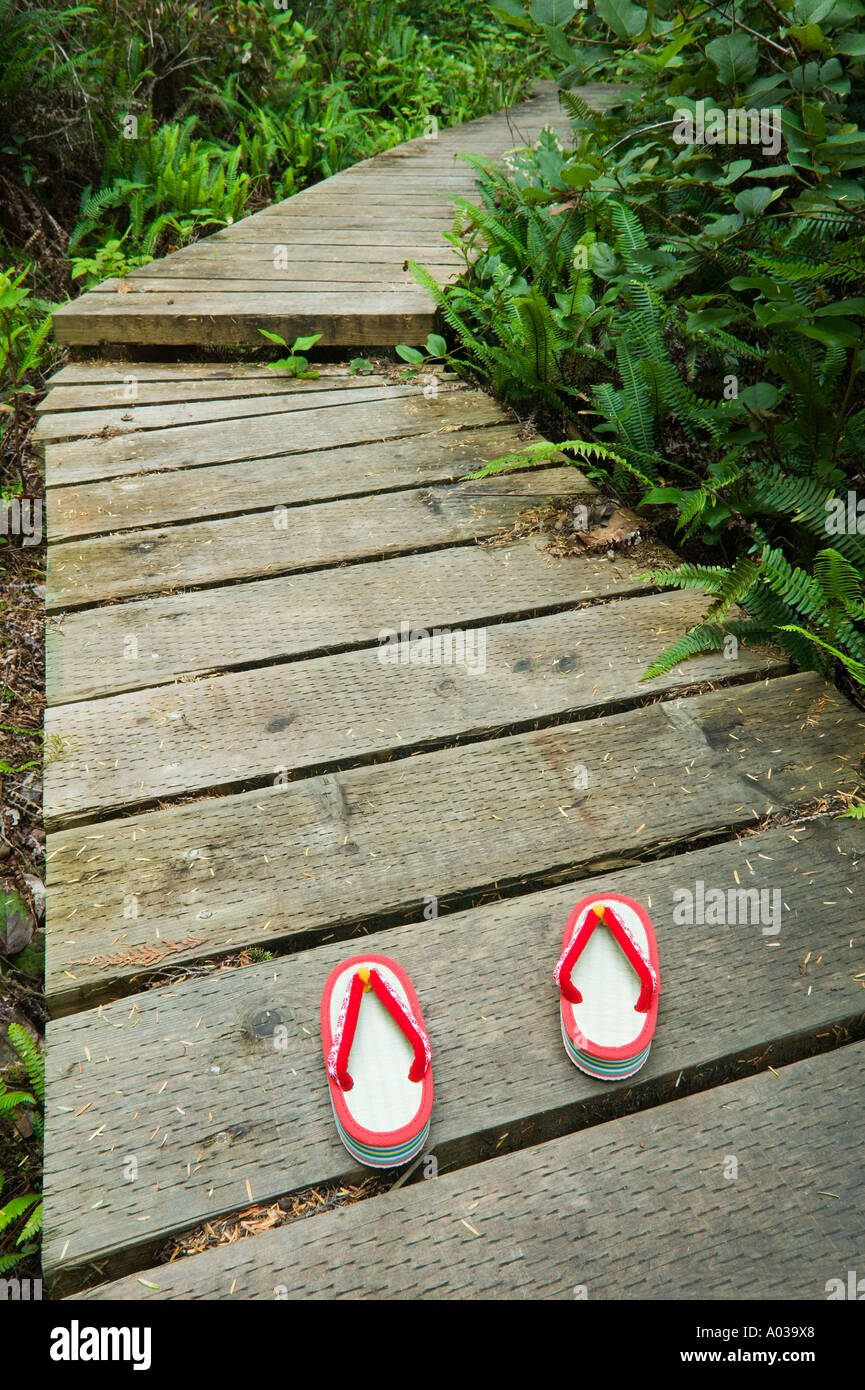 Board walk Rugged Point West Coast Vancouver Island British Columbia ...