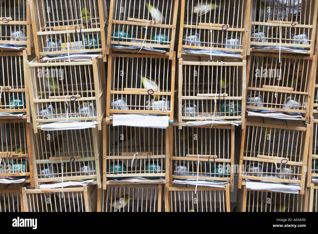 Wooden Bird Cages Stacked Up, Hong Kong Stock Photo - Alamy