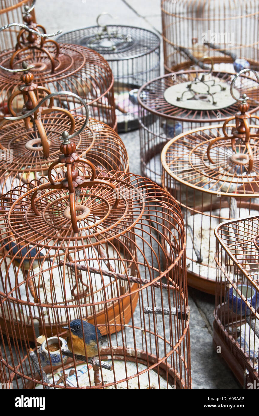 Wicker cage hi-res stock photography and images - Alamy
