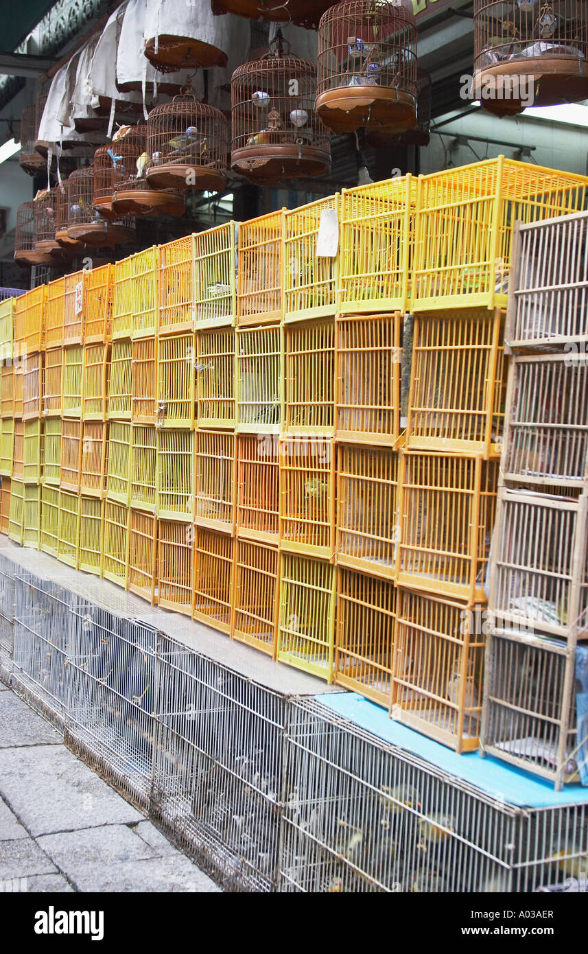 Bird Cages, Bird Market Stock Photo - Alamy