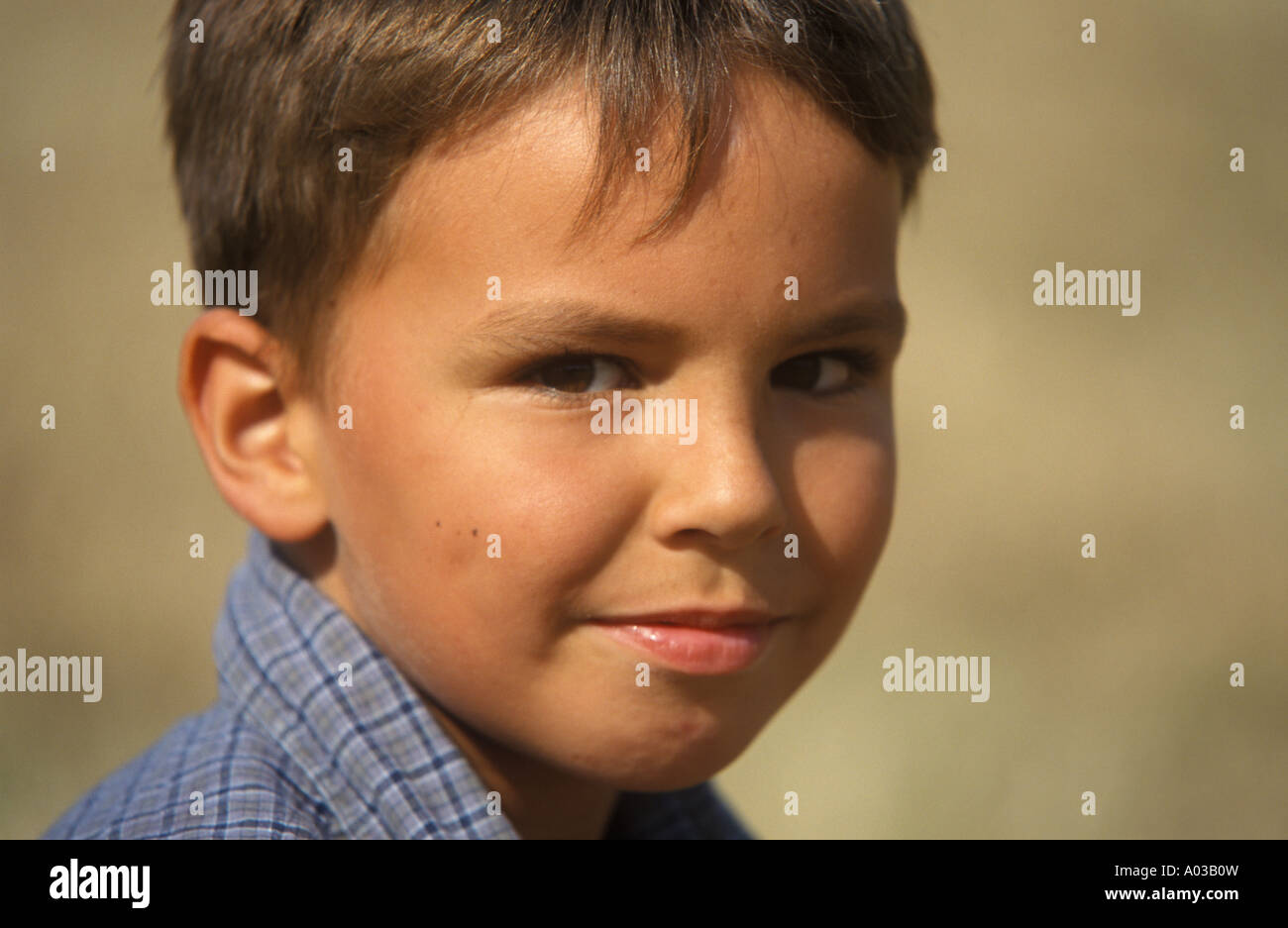 portrait of a young boy smiling sceptically into the camera Stock Photo ...