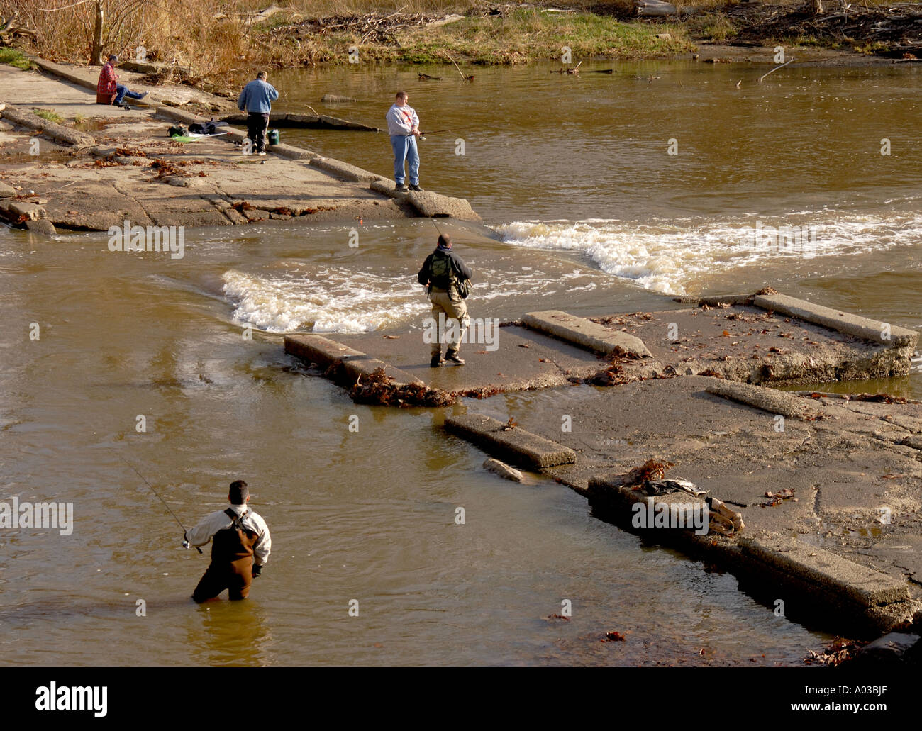 multiple fishermen fishing wading in stream Stock Photo - Alamy