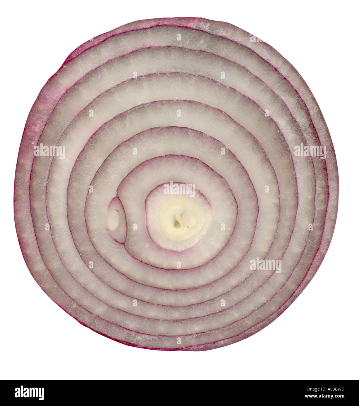 Close up view of a sliced red onion Stock Photo - Alamy
