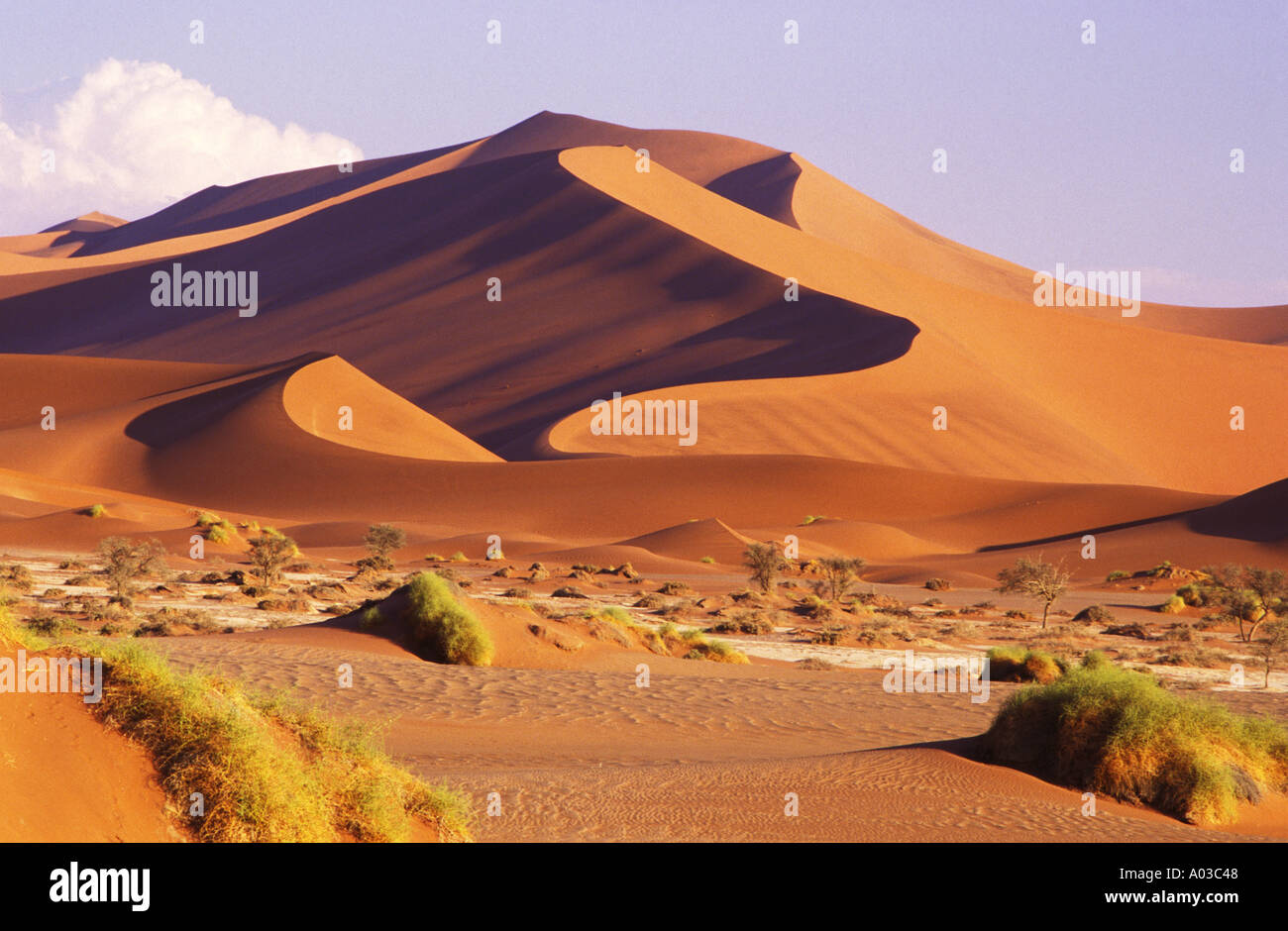 Sand dunes at the Sossusvlei Namib Desert Namibia Stock Photo - Alamy