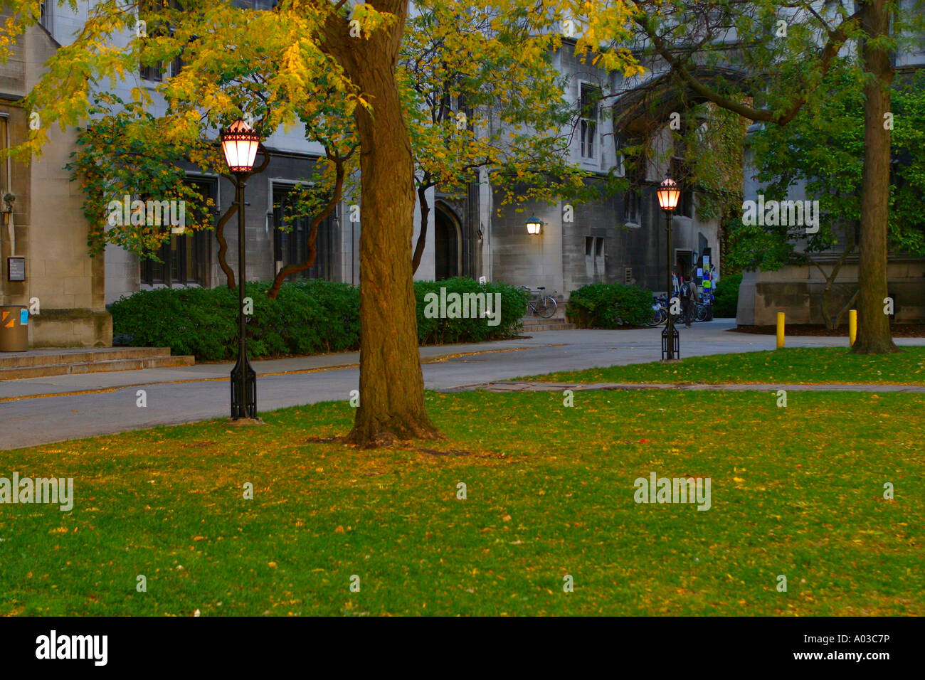 Evening view of the main quadrangle of the University of Chicago campus ...