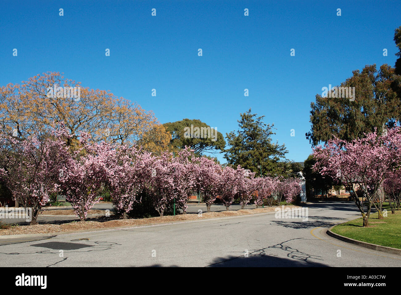 Unisa campus hi-res stock photography and images - Alamy