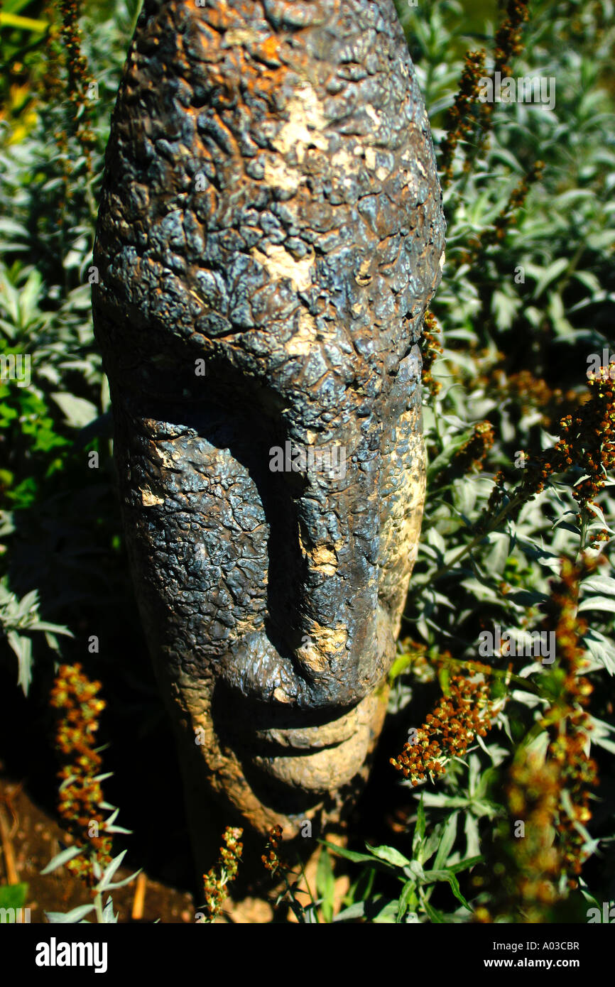 Traditional stone head in a pacific or south American style, surrounded ...