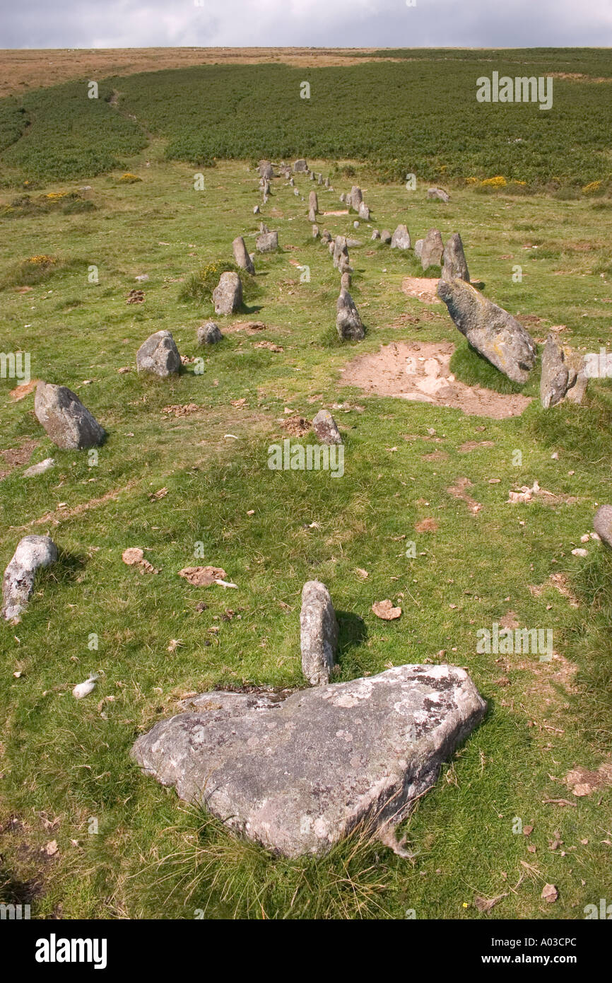 Triple Stone Row on Cosdon Hill Stock Photo - Alamy