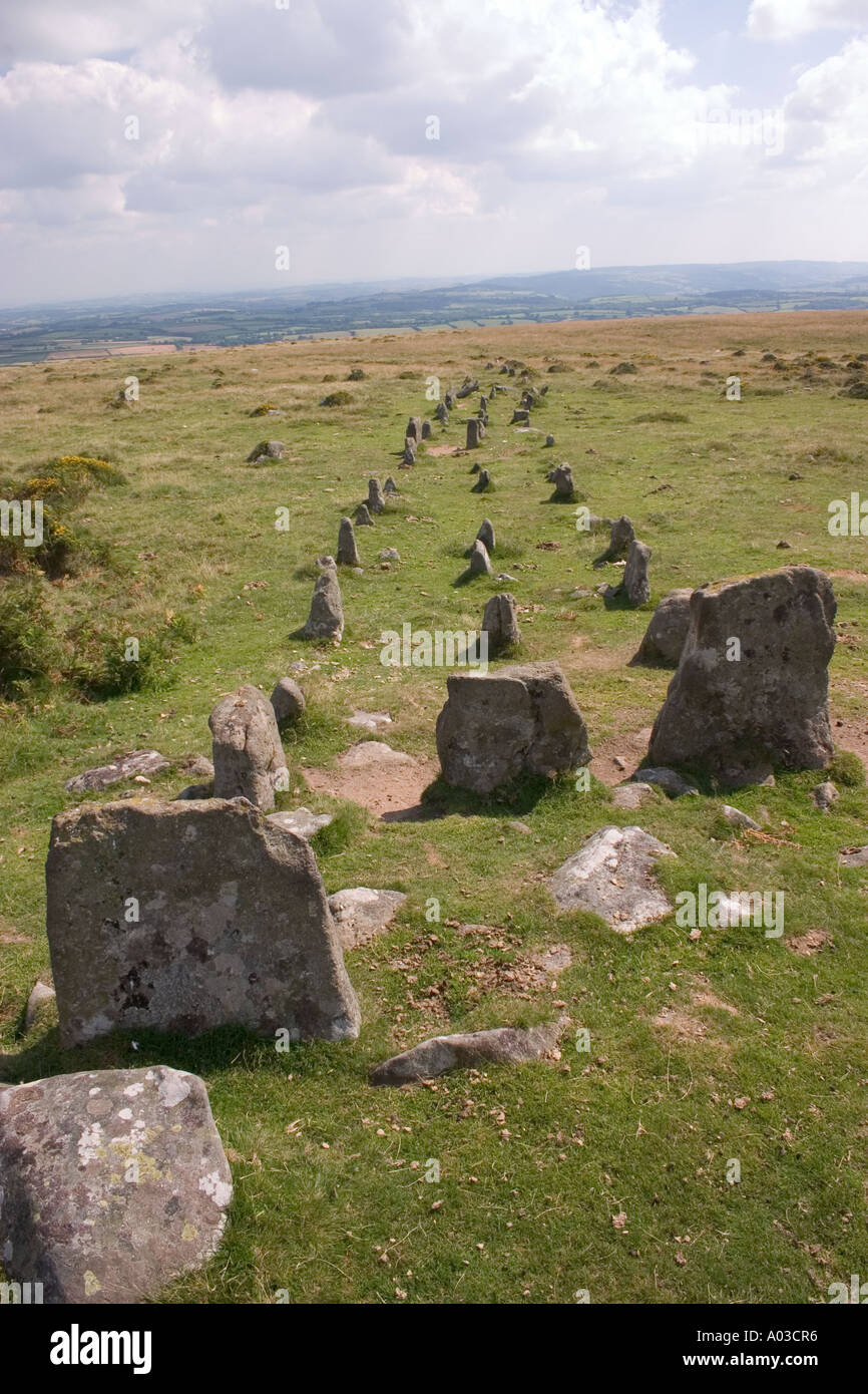 Triple Stone Row on Cosdon Hill Stock Photo - Alamy
