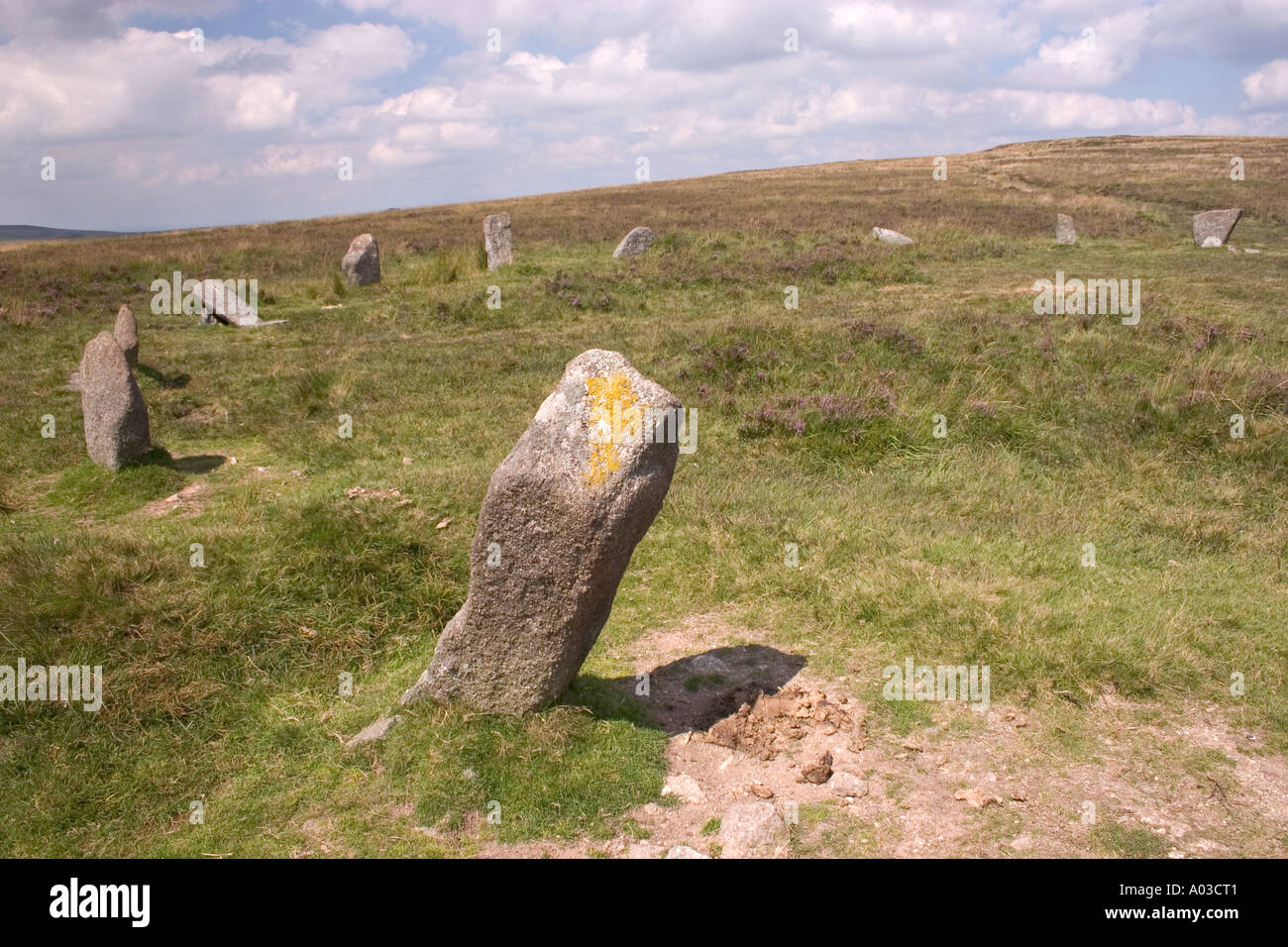 Whitemoor hi-res stock photography and images - Alamy