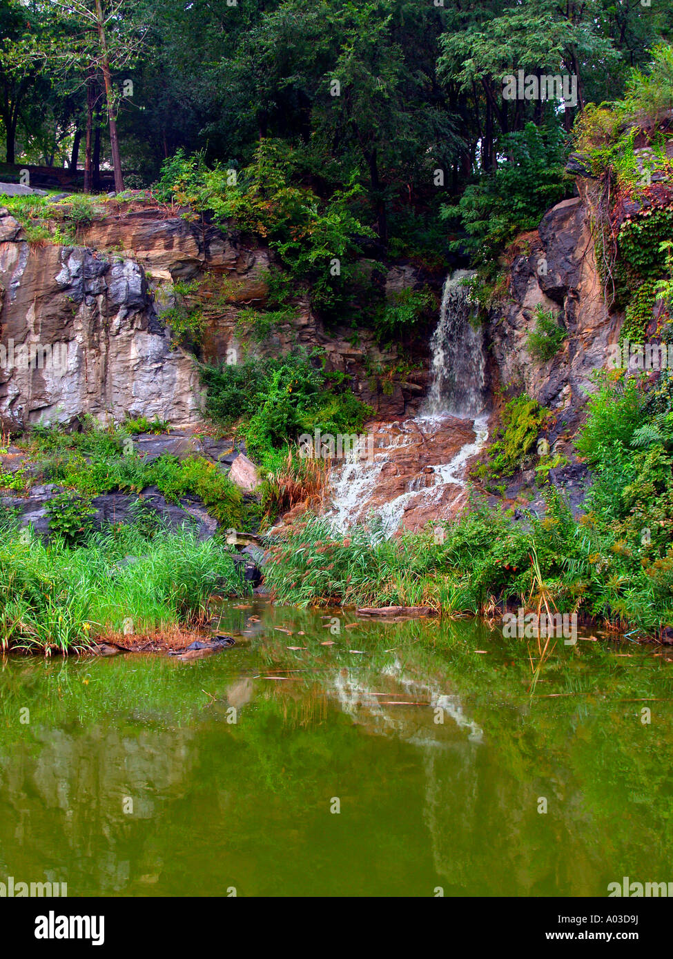 Waterfall, pond, trees, and cliffs in New York City's Morningside Park ...