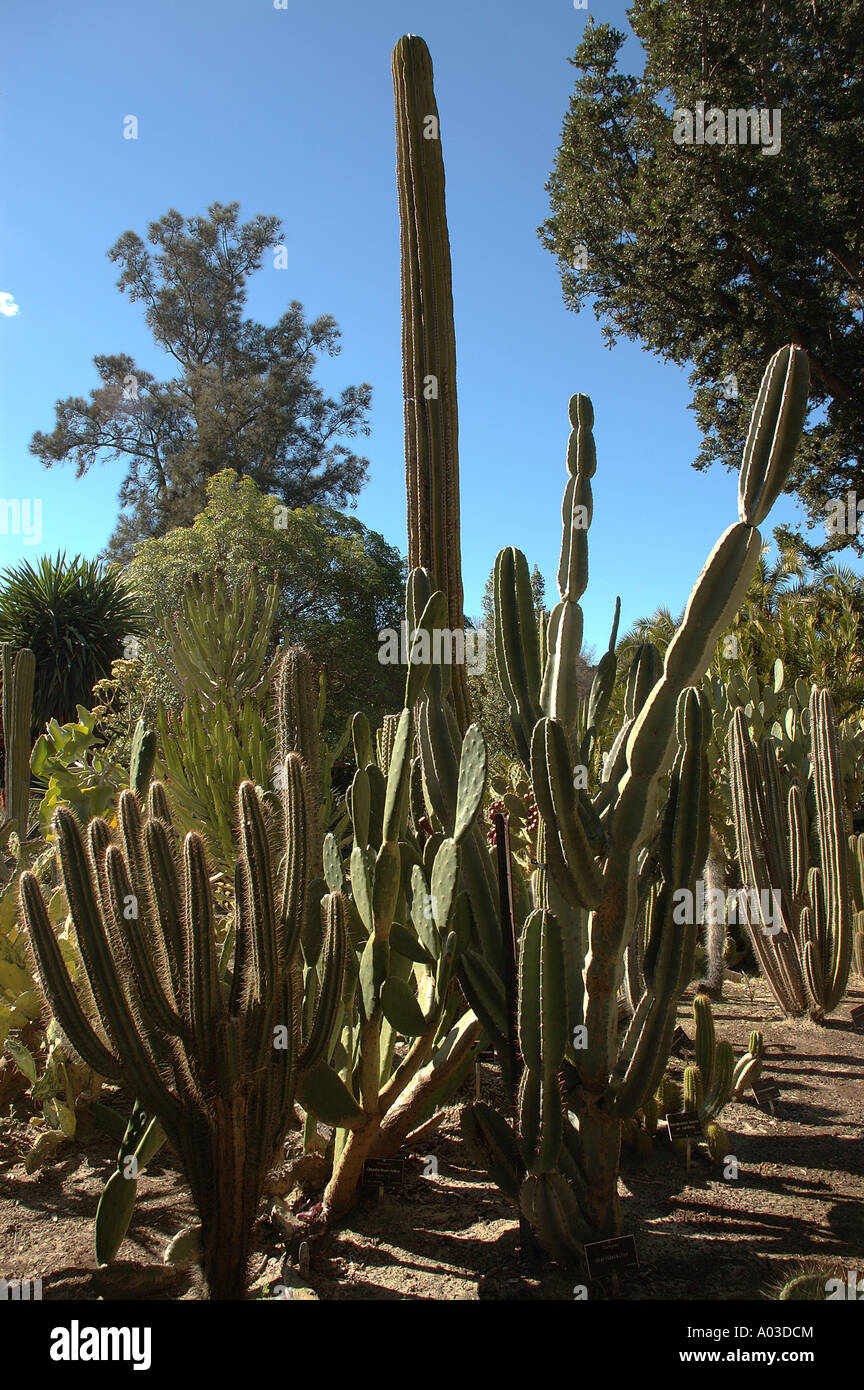 botanical garden adelaide south australia Stock Photo - Alamy