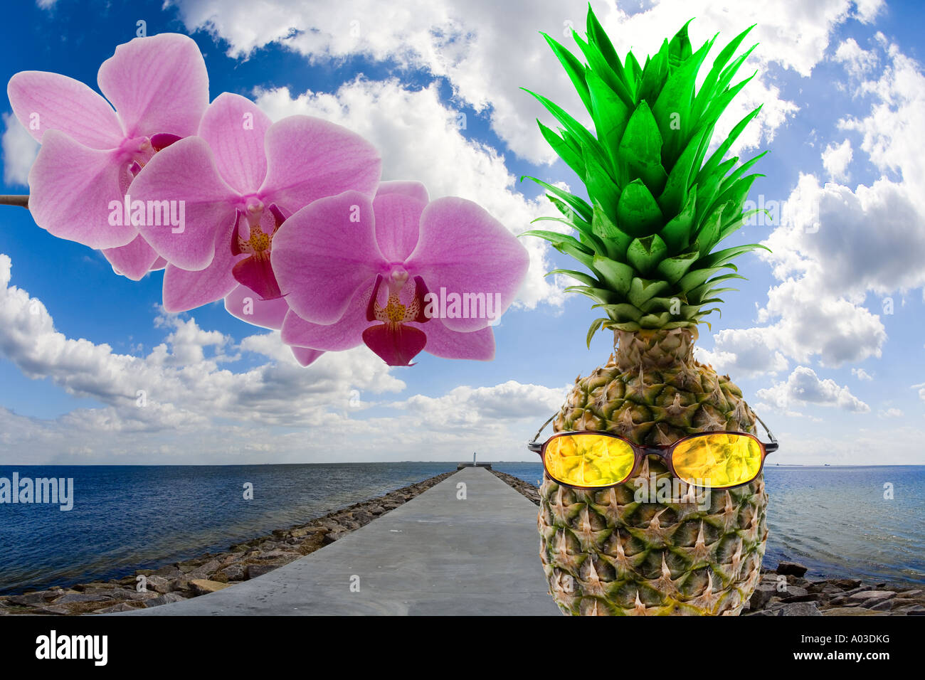 Exotic pier beach hi-res stock photography and images - Alamy