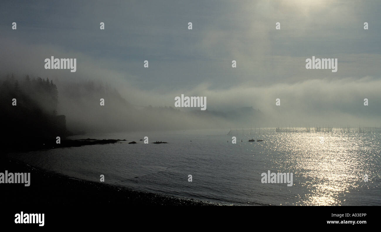 Grand bank canada fog hi-res stock photography and images - Alamy